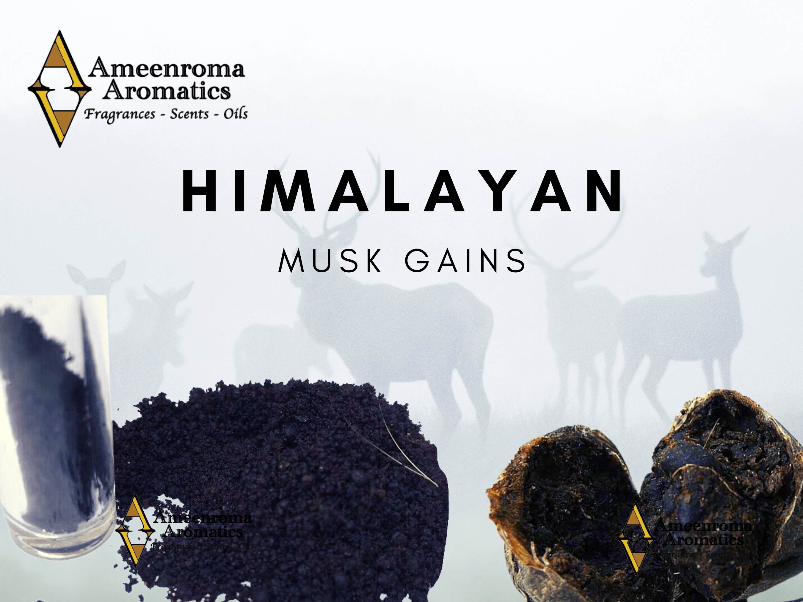 Himalayan Musk Deer Pods